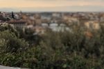 Google Pixel 2 portrait mode explained with new sample photos