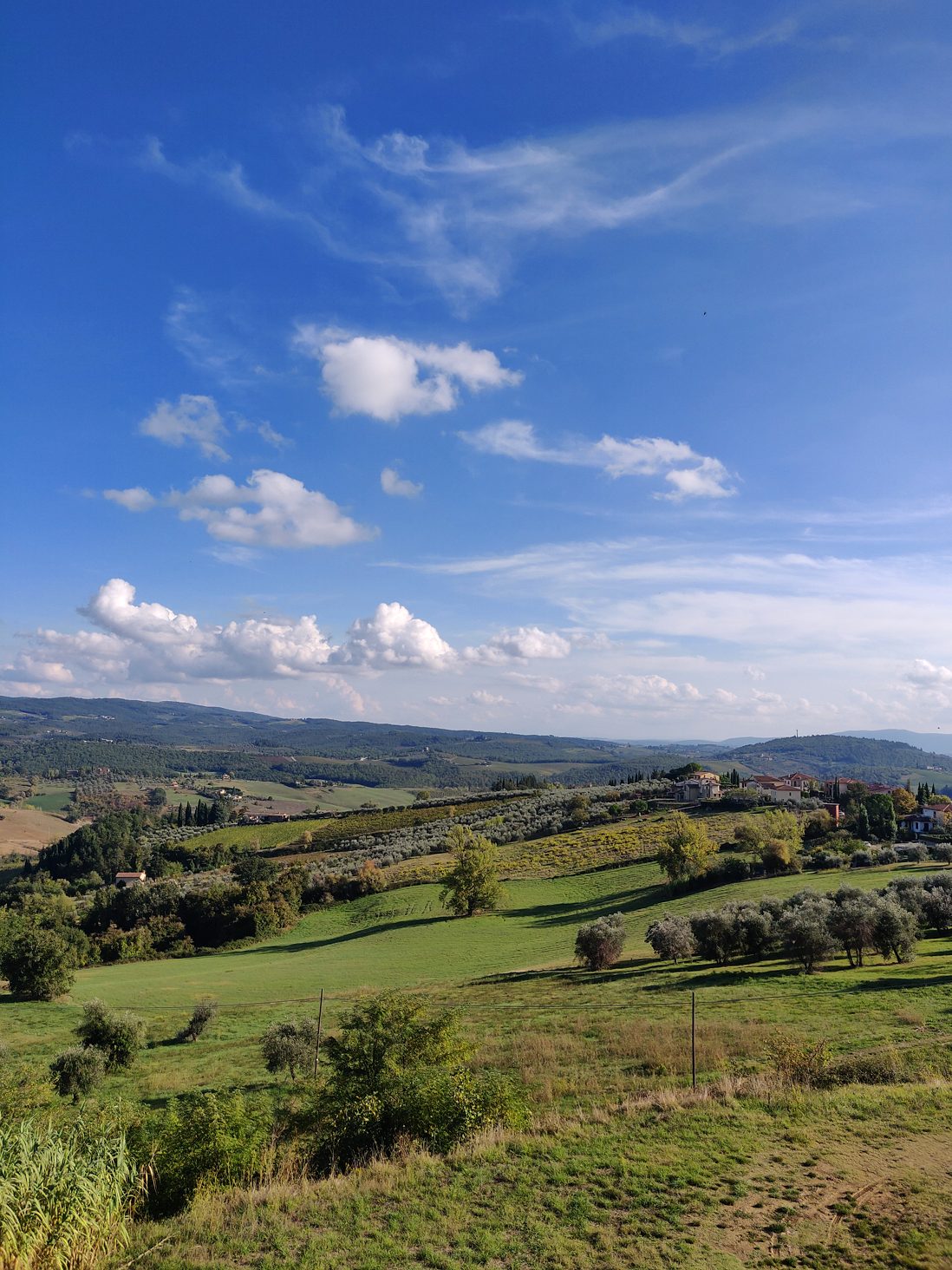 OnePlus 6t: real-world photo sample - Alessandro Michelazzi Photography