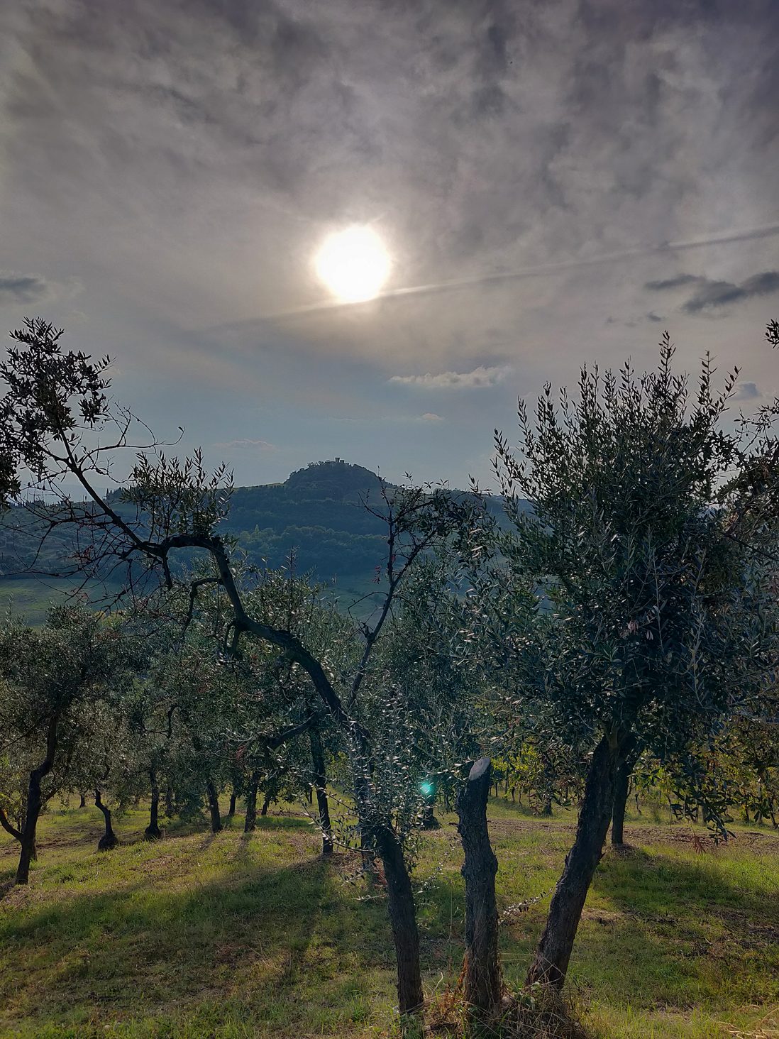 OnePlus 6t: real-world photo sample - Alessandro Michelazzi Photography
