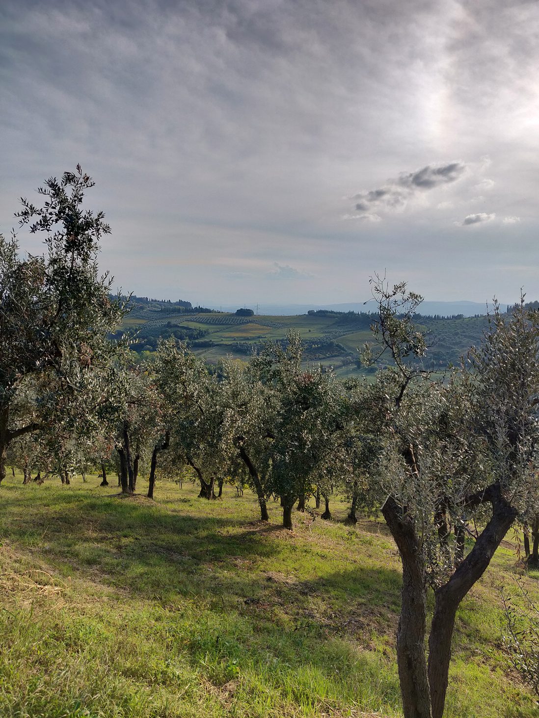 OnePlus 6t: real-world photo sample - Alessandro Michelazzi Photography