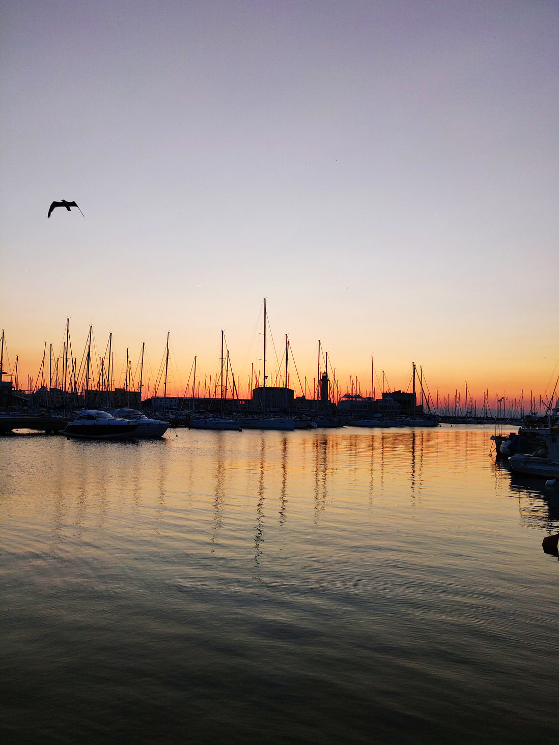 OnePlus 6t: real-world photo sample - Alessandro Michelazzi Photography
