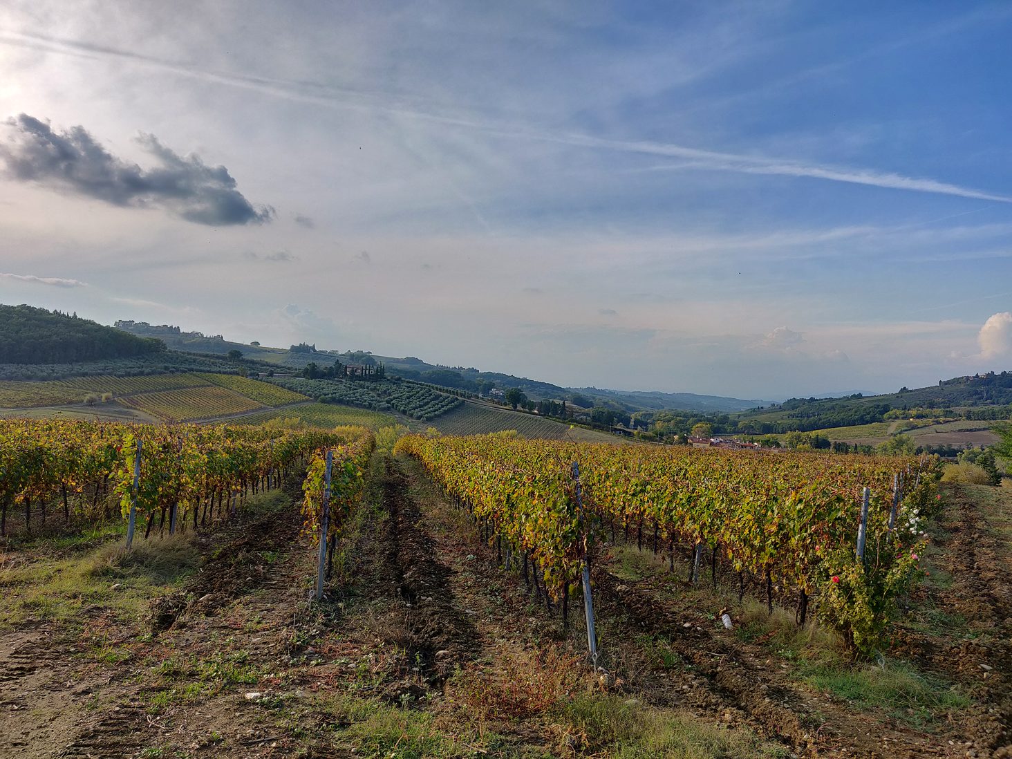 OnePlus 6t: real-world photo sample - Alessandro Michelazzi Photography