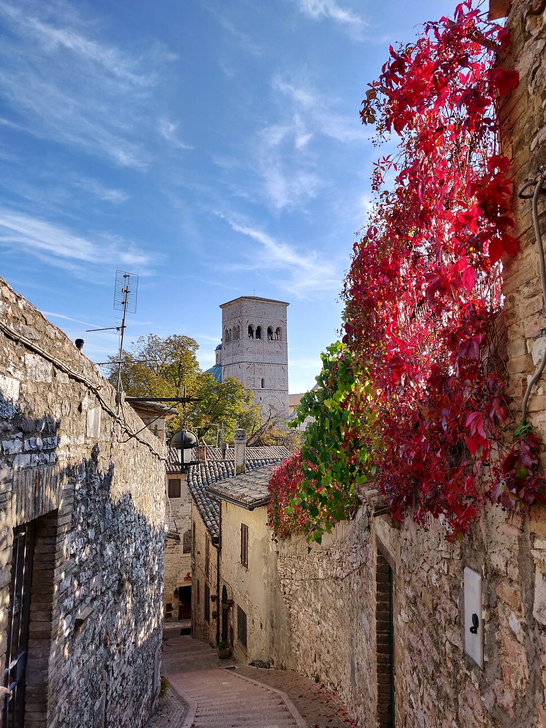 OnePlus 6t: real-world photo sample - Alessandro Michelazzi Photography