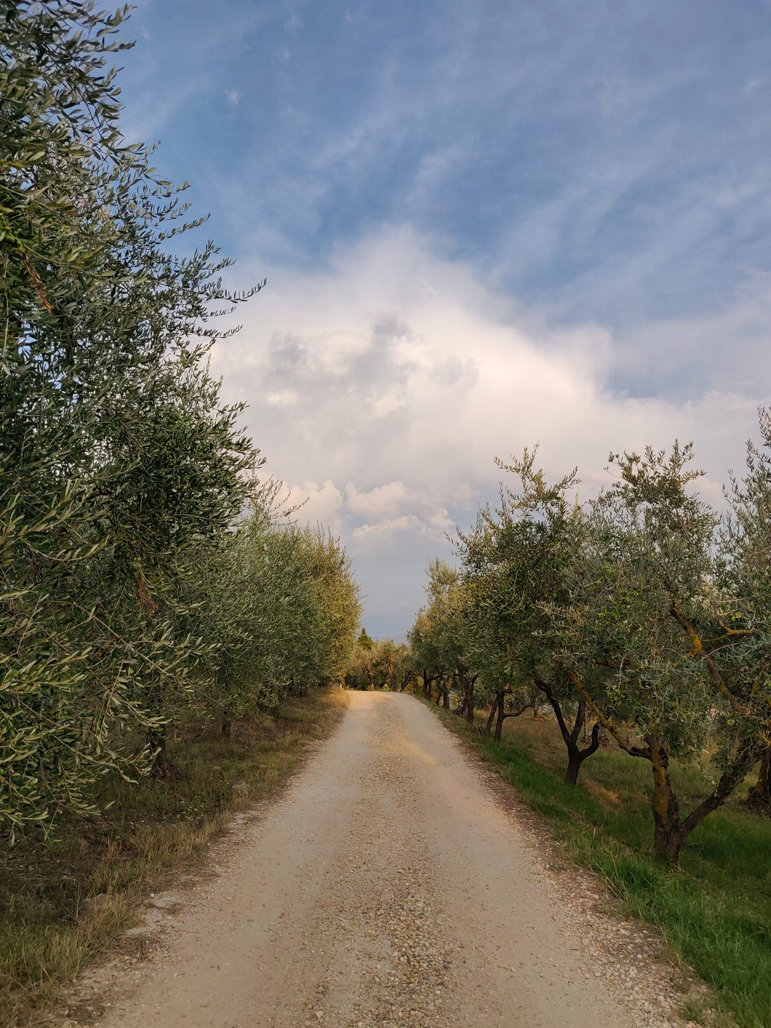 OnePlus 6t: real-world photo sample - Alessandro Michelazzi Photography