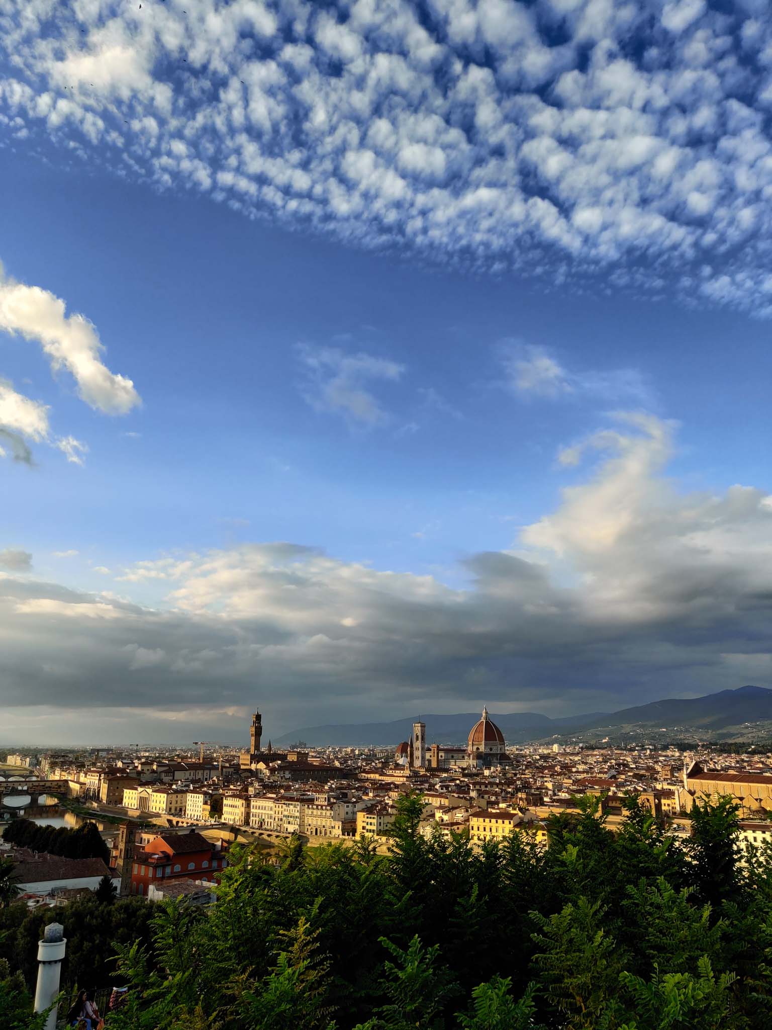 OnePlus 7T Pro Camera Review Alessandro Michelazzi Photography OnePlus 7T Pro Camera Review Alessandro Michelazzi Photography